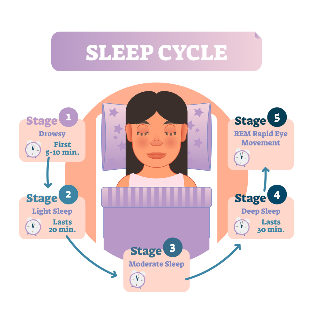 The States And Stages Of Sleep PainScale