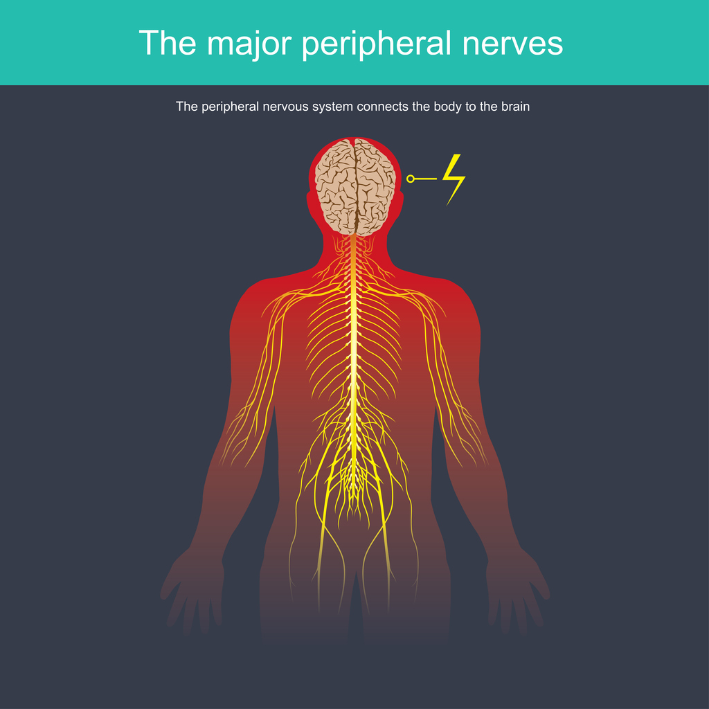 Types Of Peripheral Neuropathy PainScale